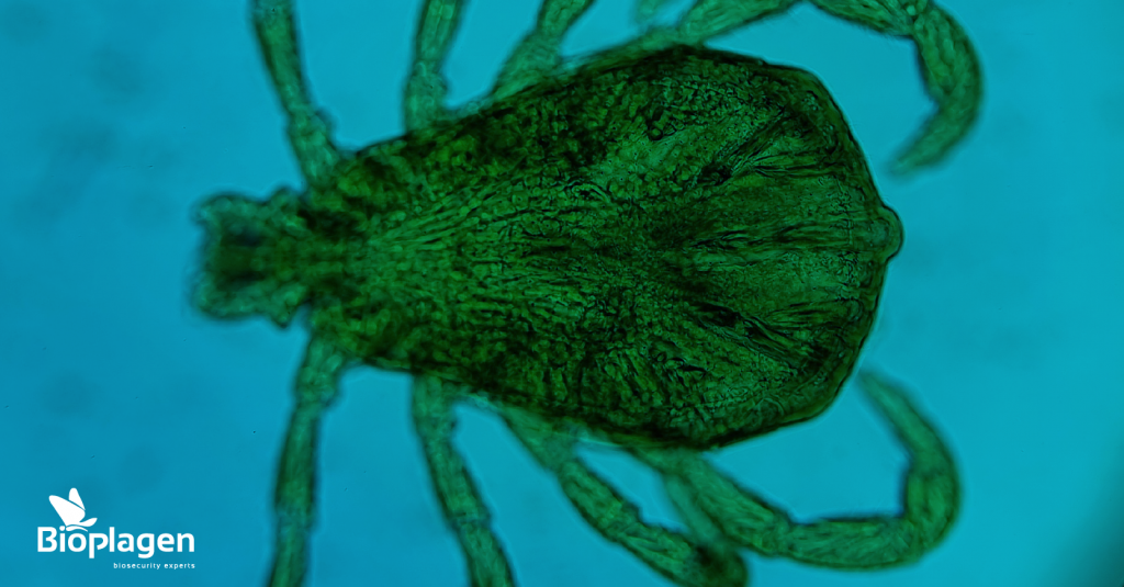 Bioplagen - Expertos en bioseguridad 360º